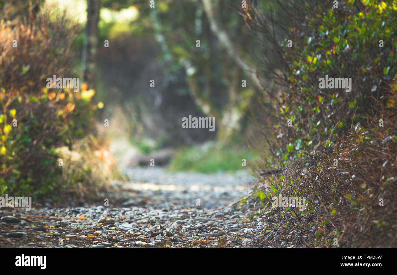 Gravel stoney path hi-res stock photography and images - Alamy