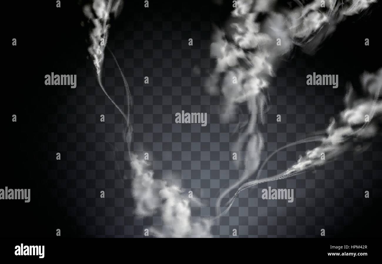 white smoke element for design uses, transparent background Stock ...