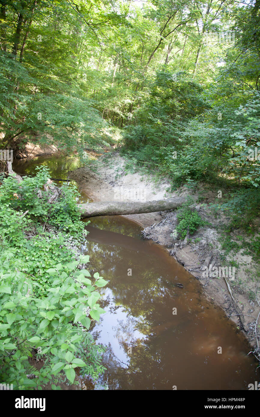 Log across a country stream deep in the woods Stock Photo - Alamy