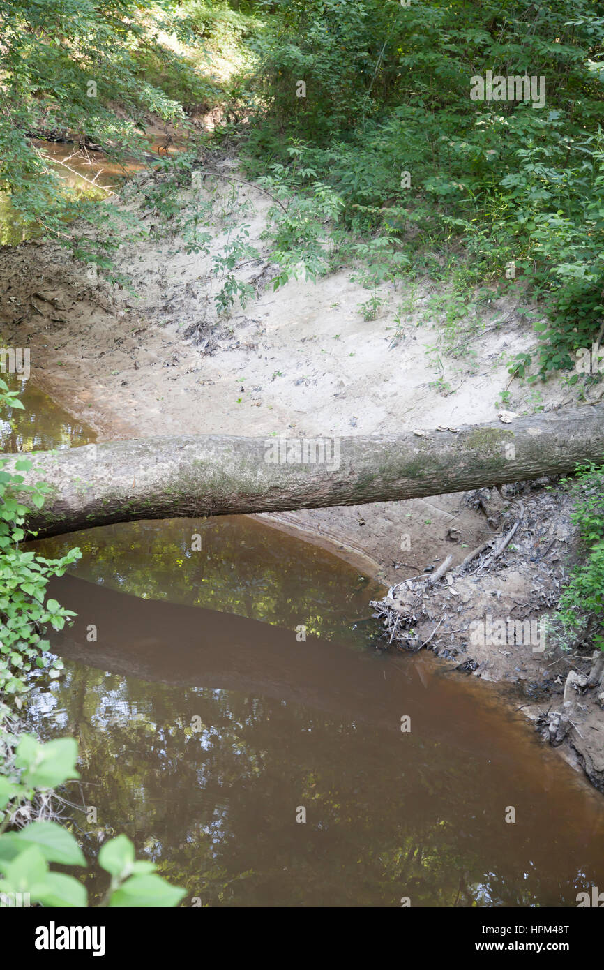 Log across brook hi-res stock photography and images - Alamy
