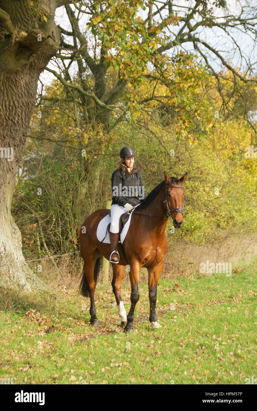 Woman riding a horse in a black jacket and riding hat Stock Photo - Alamy