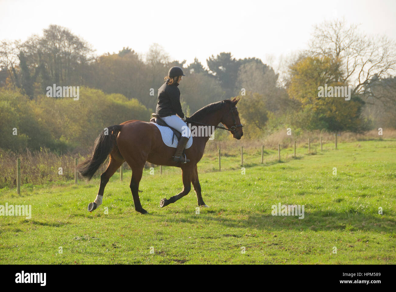 Woman riding a horse in a black jacket and riding hat Stock Photo - Alamy