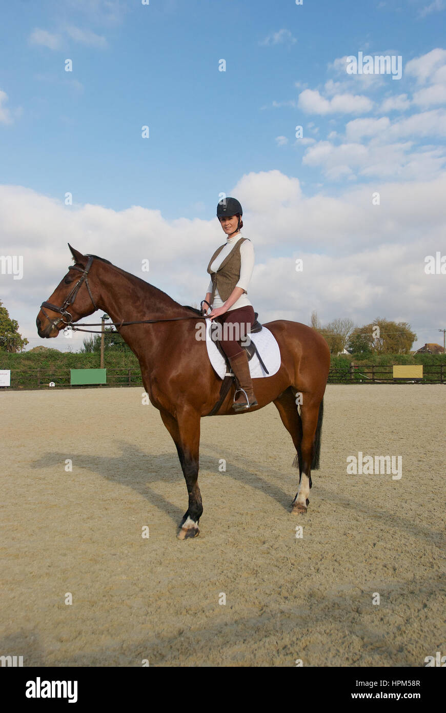 Beautiful woman riding a horse in a paddock Stock Photo - Alamy