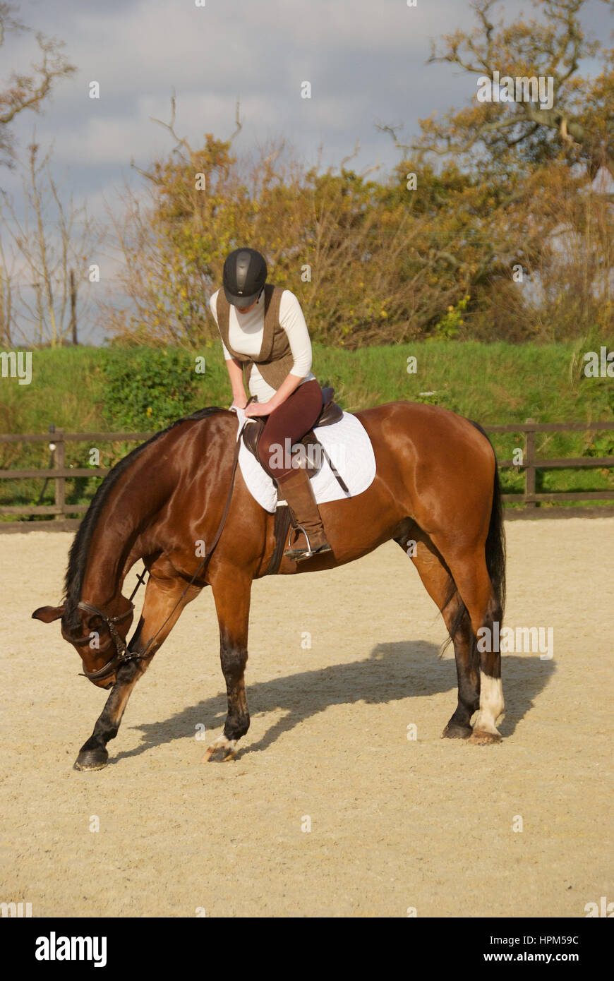 Beautiful woman riding a horse in a paddock Stock Photo - Alamy