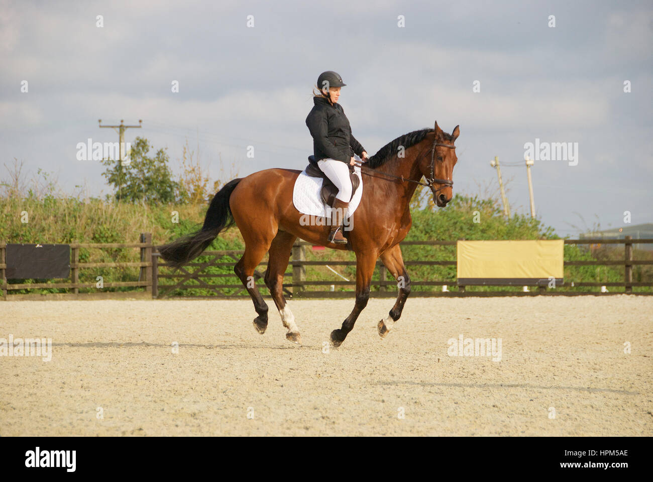 Woman riding a horse in a black jacket and riding hat Stock Photo - Alamy