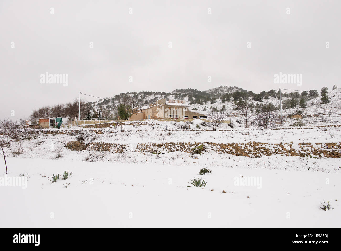 Very rare happening with snow near Pinoso in the Alicante Province of ...