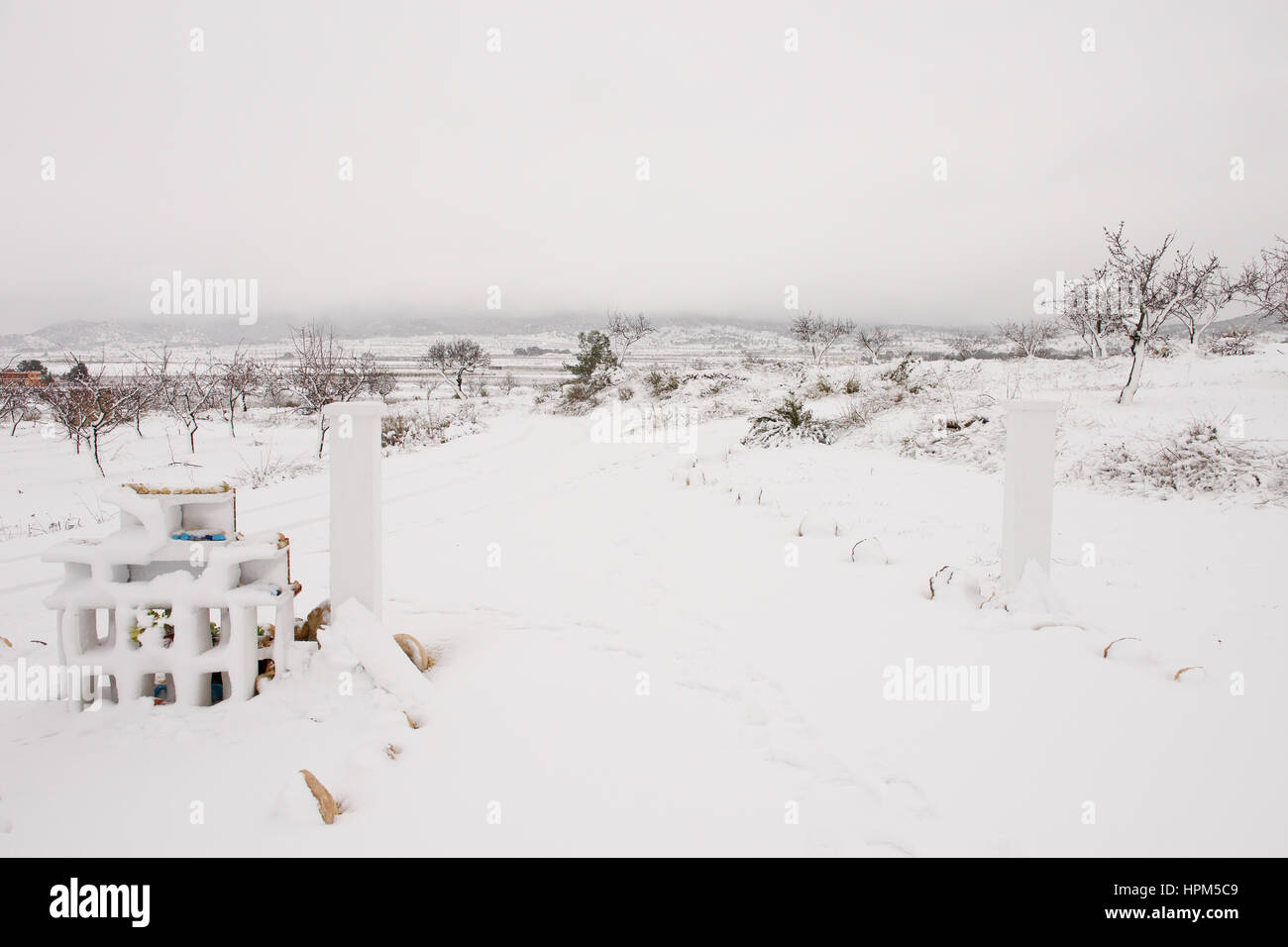 Very rare happening with snow near Pinoso in the Alicante Province of ...
