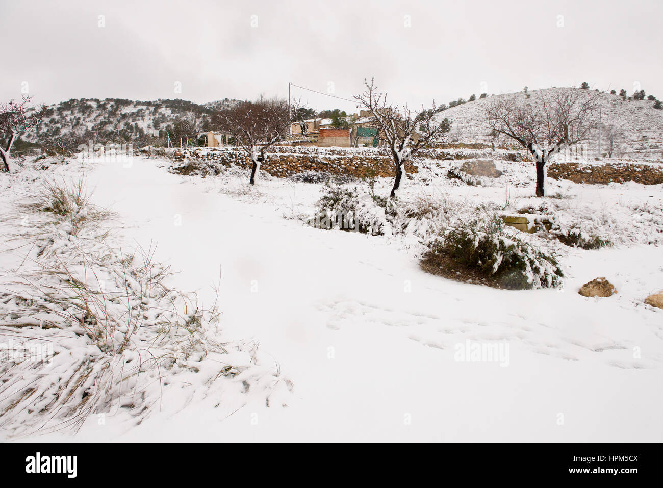 Very rare happening with snow near Pinoso in the Alicante Province of ...