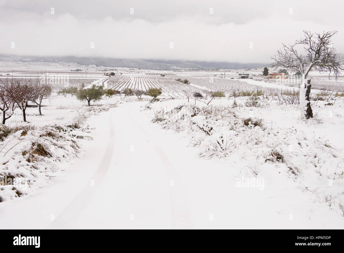 Very rare happening with snow near Pinoso in the Alicante Province of ...