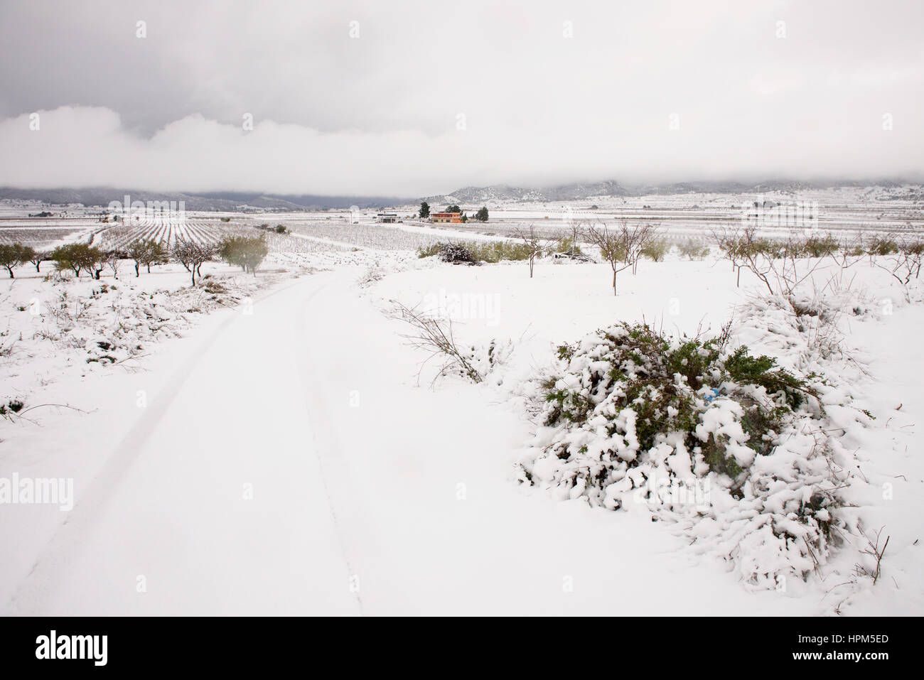 Very rare happening with snow near Pinoso in the Alicante Province of ...