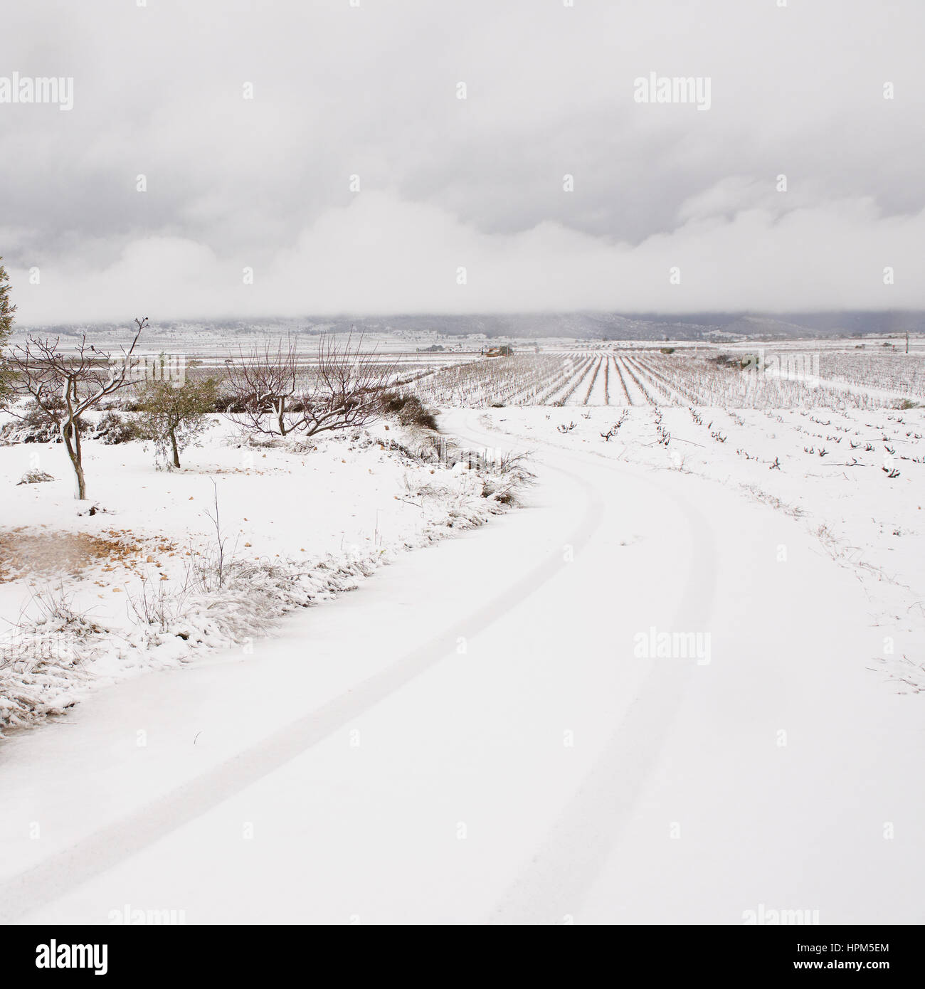 Very rare happening with snow near Pinoso in the Alicante Province of ...