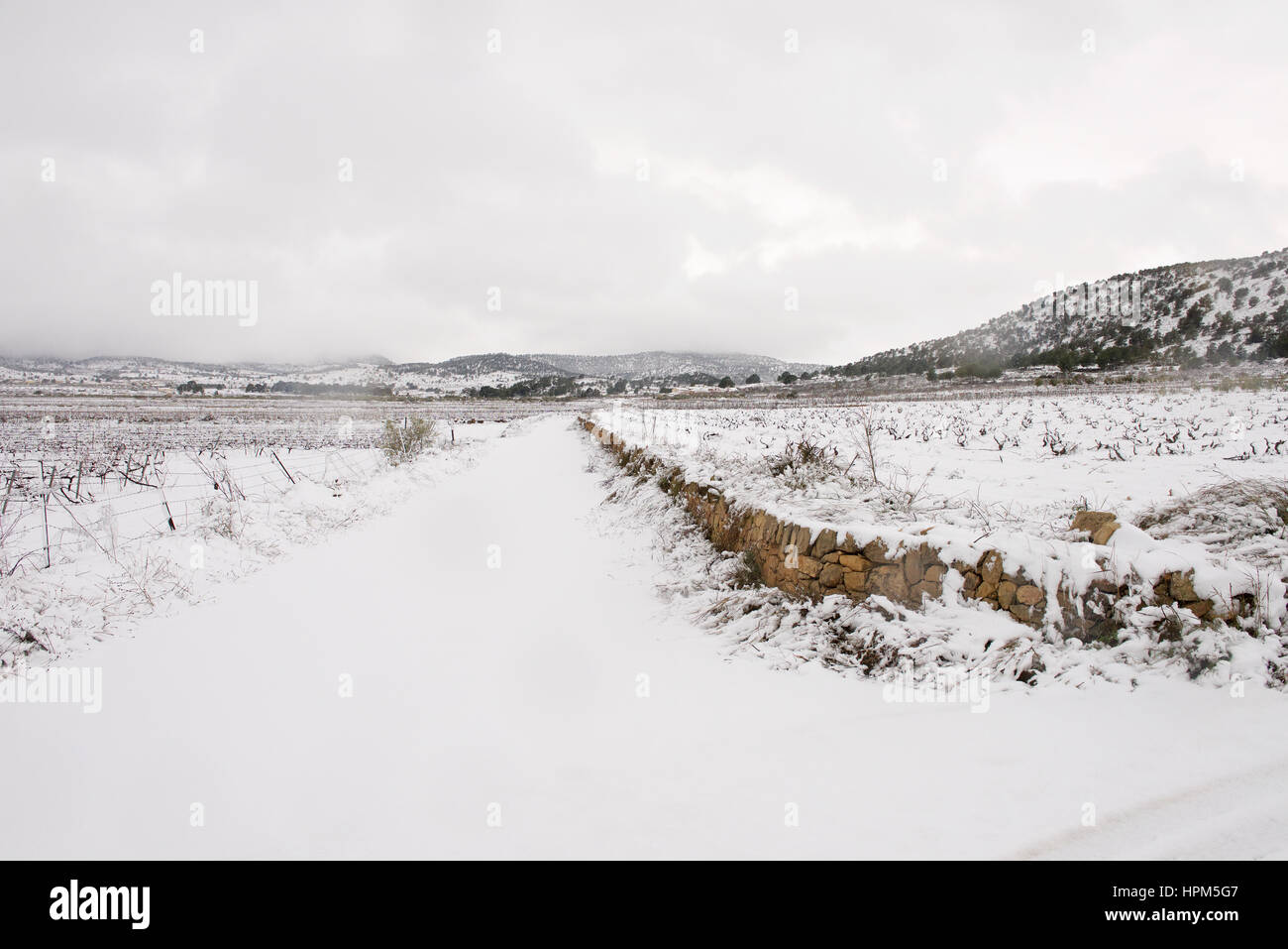 Very rare happening with snow near Pinoso in the Alicante Province of ...
