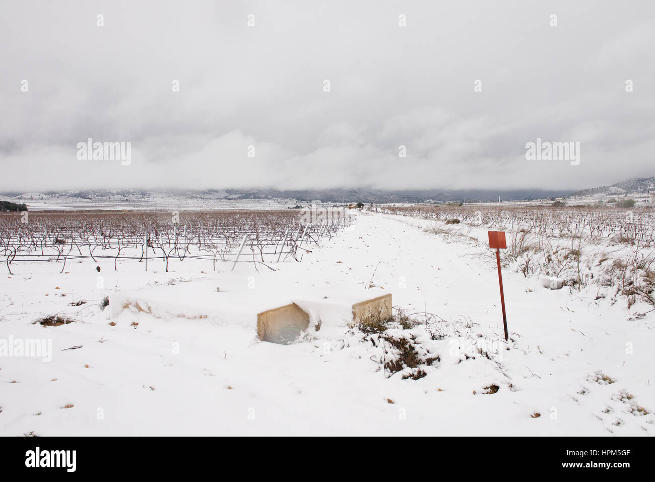 Very rare happening with snow near Pinoso in the Alicante Province of ...