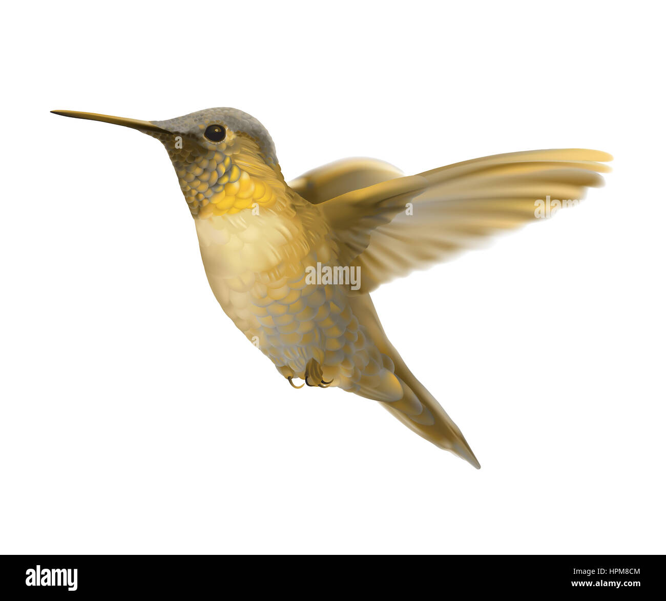 Flying Golden Hummingbird. Digital illustration of a hovering golden ...