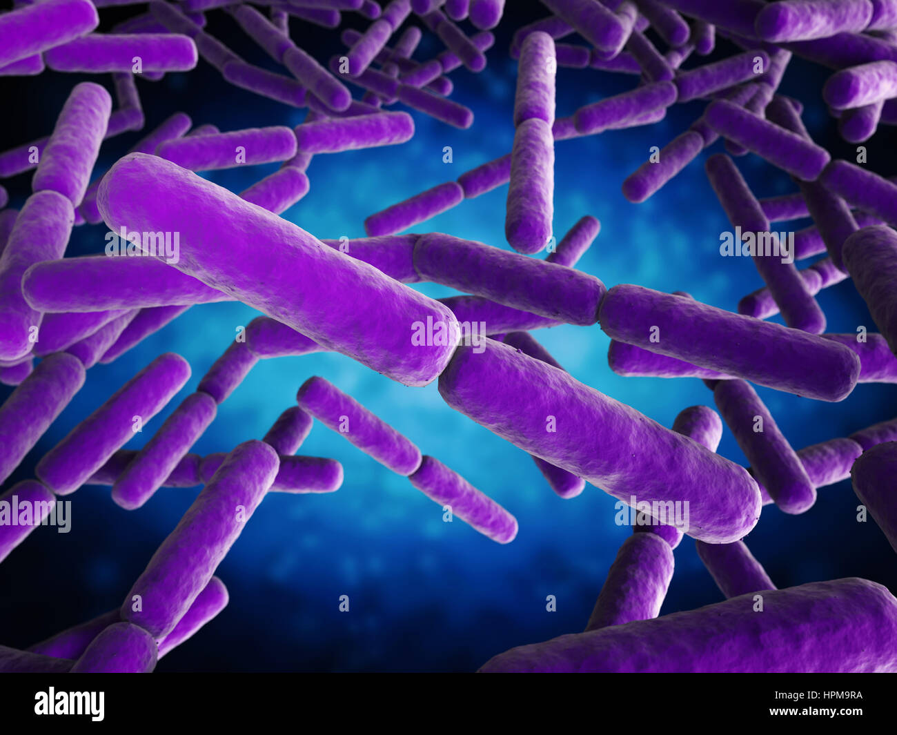 Bacteria sepsis hi-res stock photography and images - Alamy