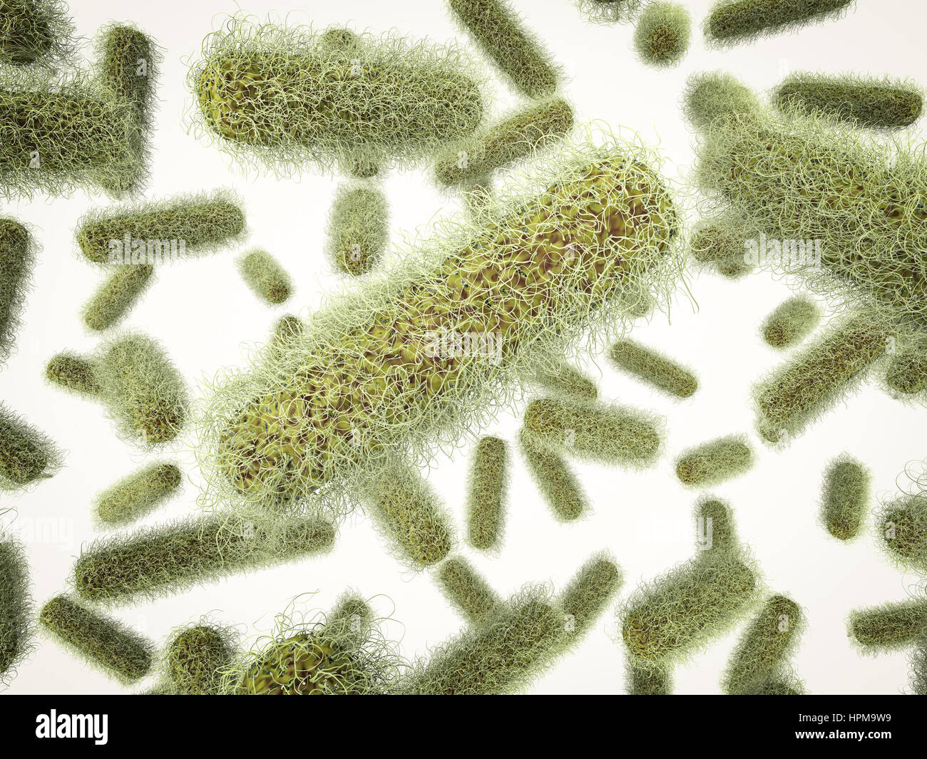 3d rendering stick shape bacteria cells Stock Photo - Alamy