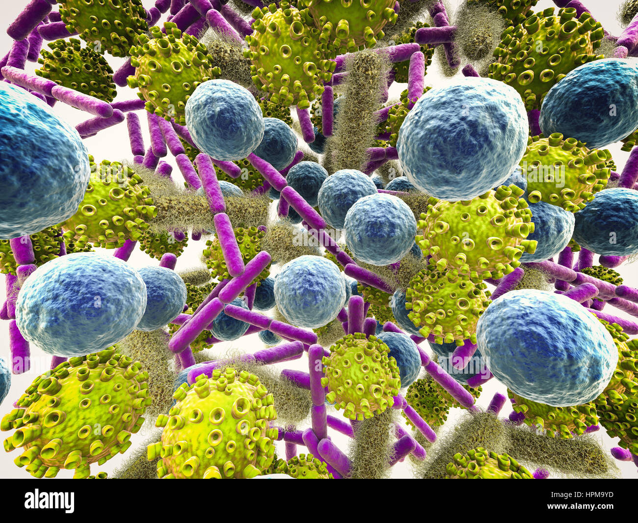 Sepsis microscope hi-res stock photography and images - Alamy