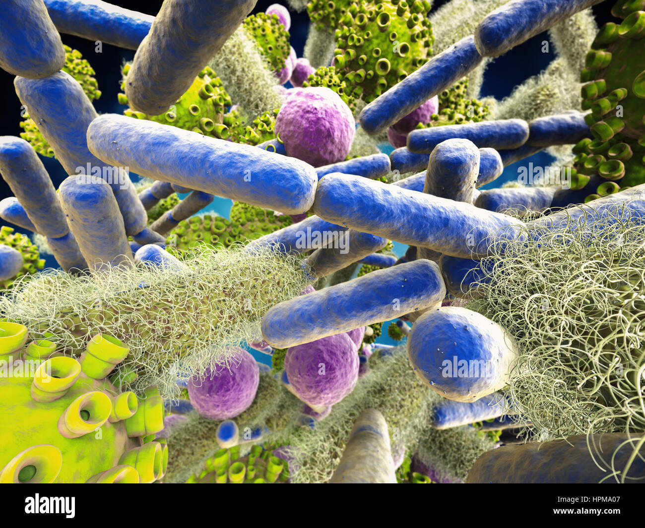 Sepsis infection hi-res stock photography and images - Alamy