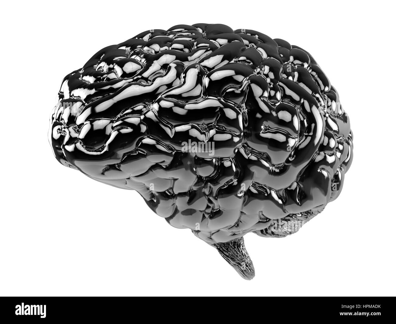 Cerebral cortex Black and White Stock Photos & Images - Alamy