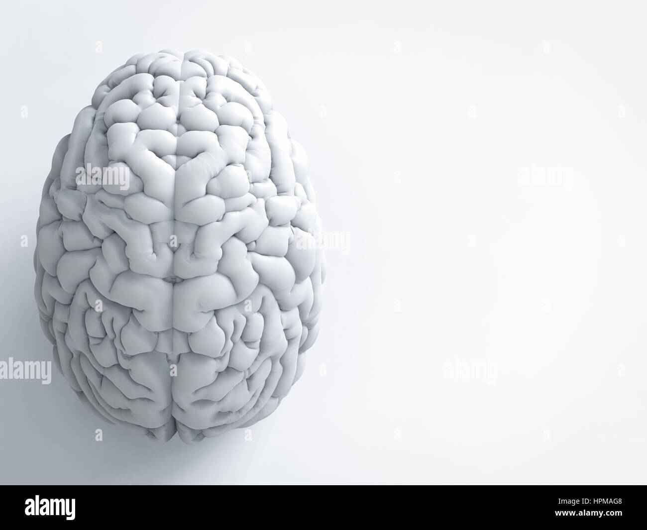 3d rendering white human brain on white background Stock Photo - Alamy