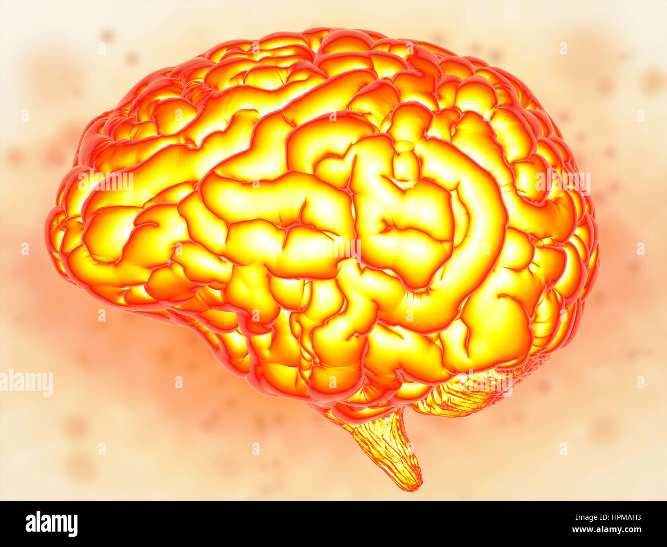 brain power concept with 3d rendering shiny human brain Stock Photo - Alamy