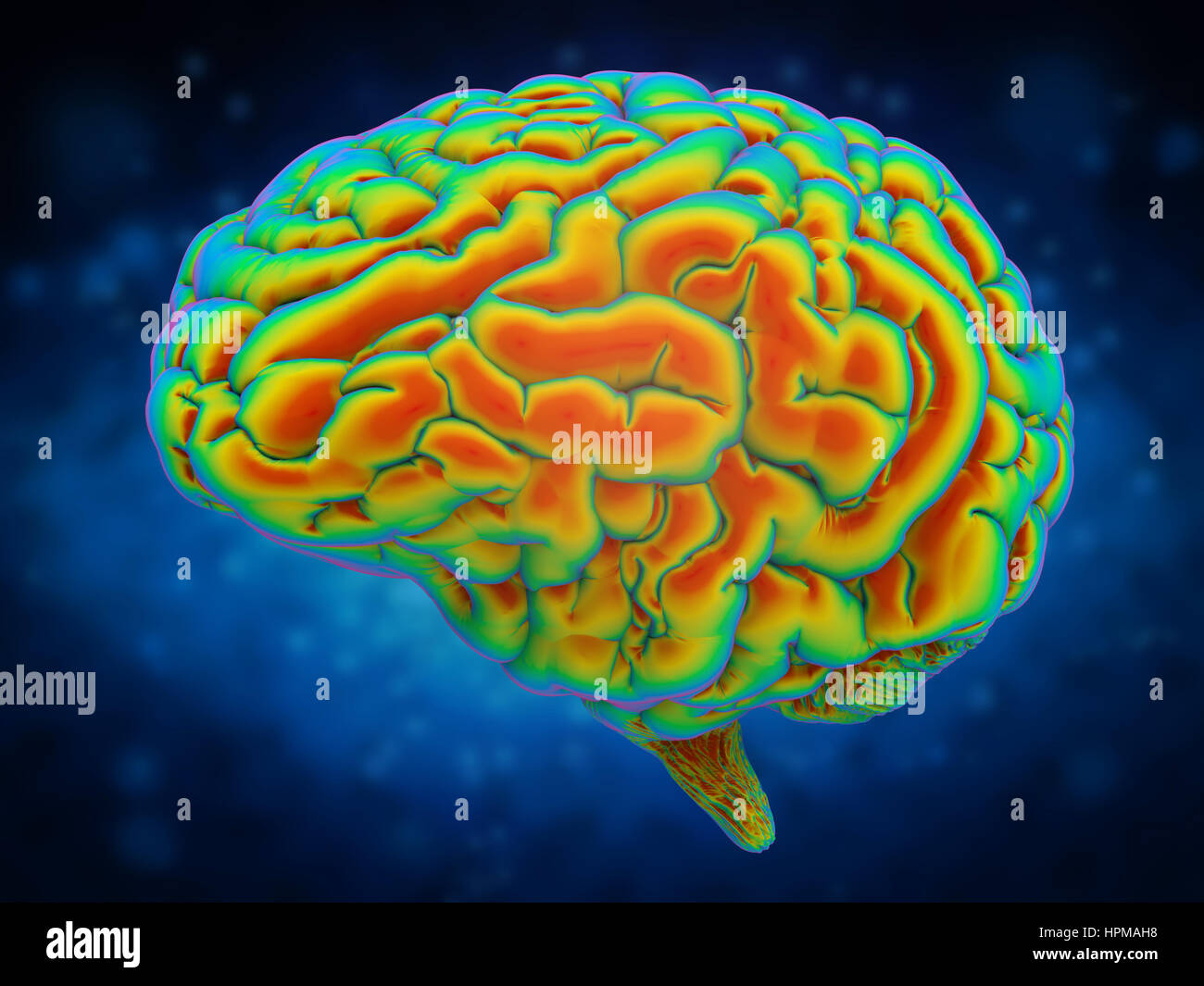 Human brain 3d xray hi-res stock photography and images - Alamy
