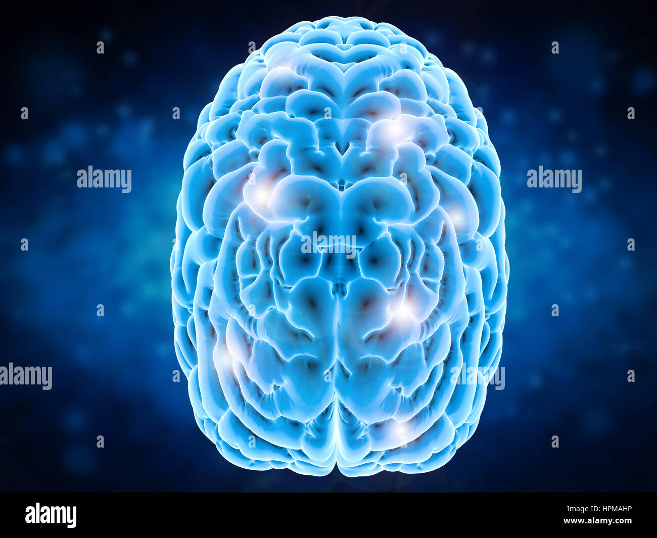 brain power concept with 3d rendering shiny human brain Stock Photo - Alamy