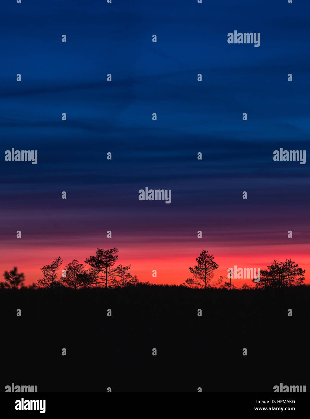 Beautiful twilight colors in the bog Stock Photo - Alamy