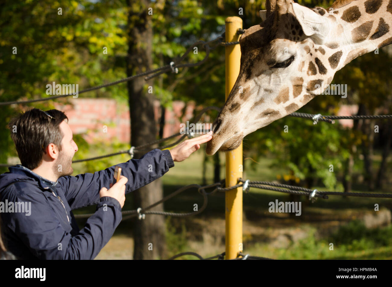 Man and giraffe Stock Photo - Alamy