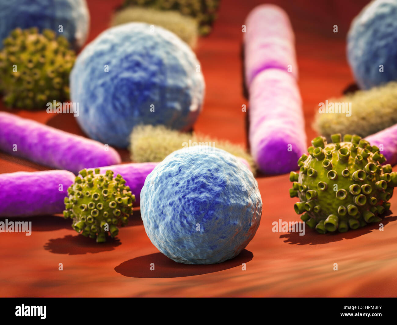 Sepsis microscope hi-res stock photography and images - Alamy