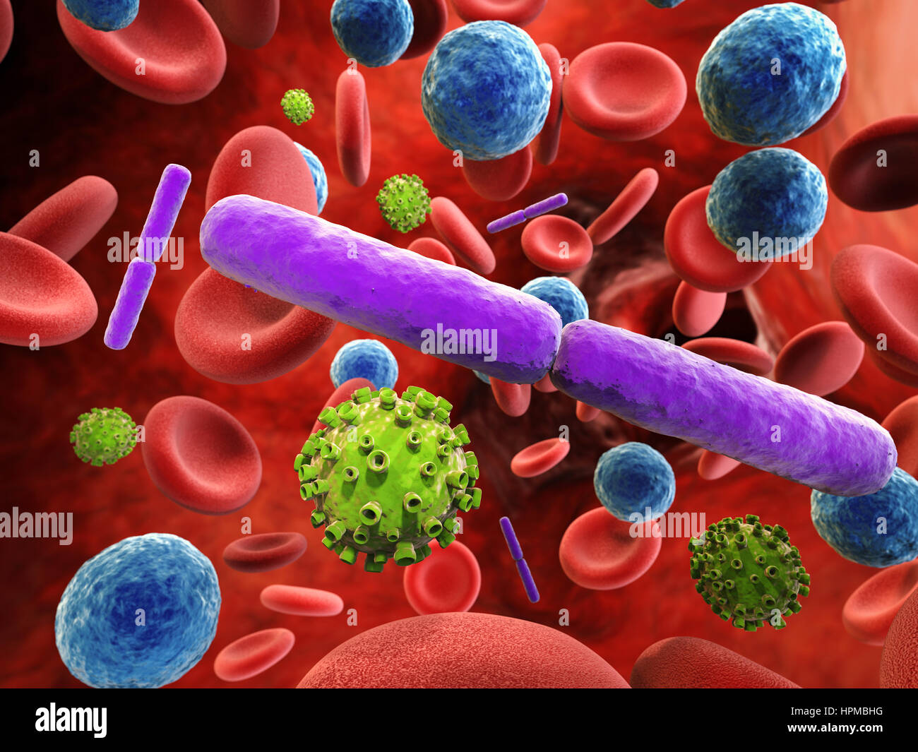 Blood infection hi-res stock photography and images - Alamy