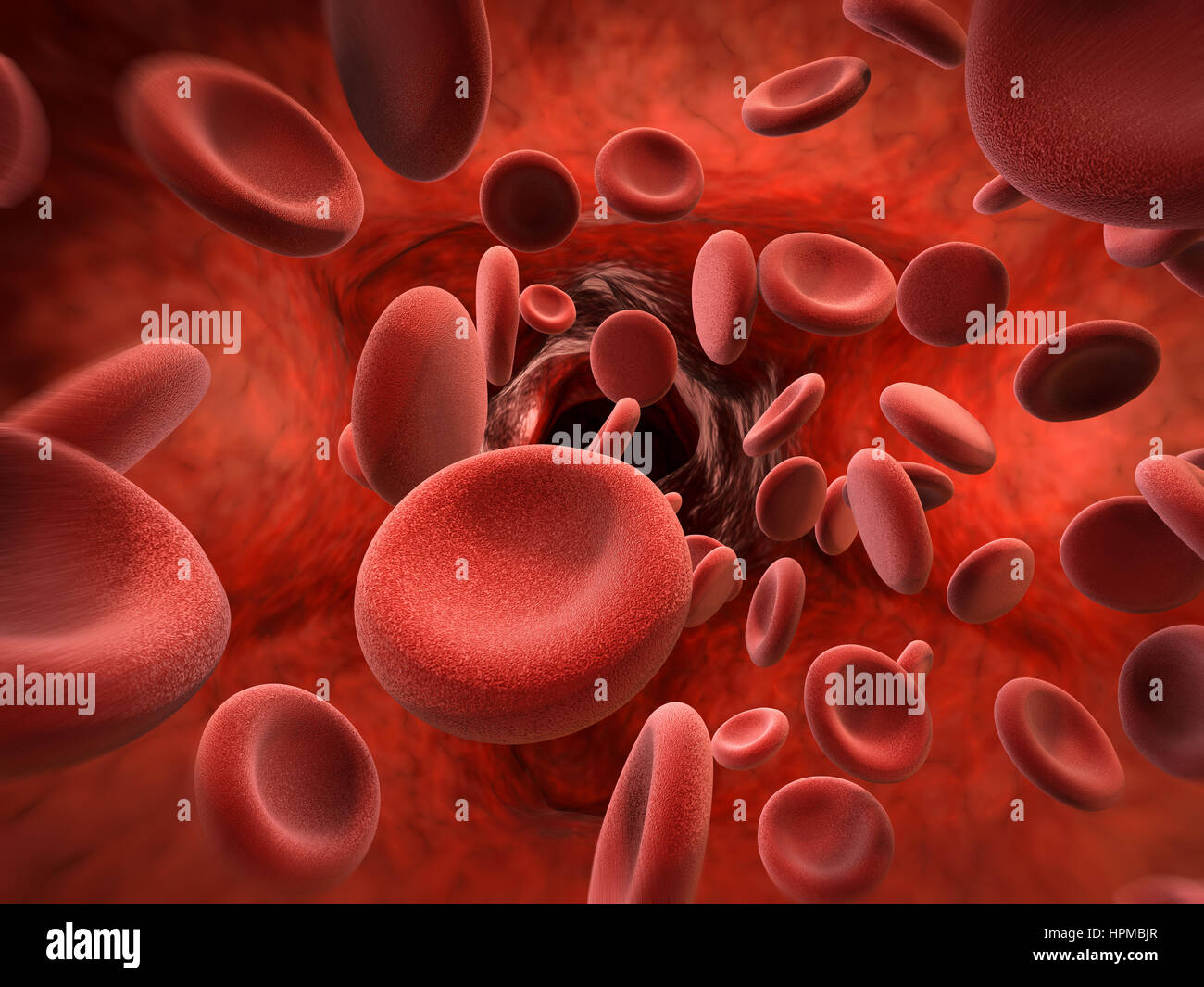 Red blood cells hi-res stock photography and images - Alamy