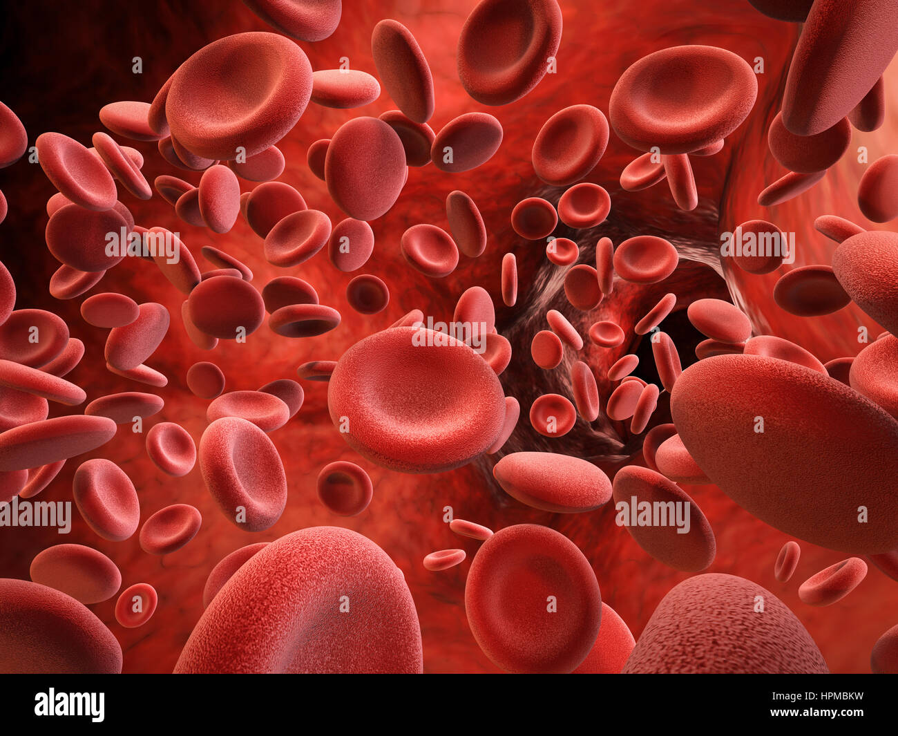 3d rendering red blood cells in vein Stock Photo - Alamy 3d rendering red blood cells in vein Stock Photo - Alamy