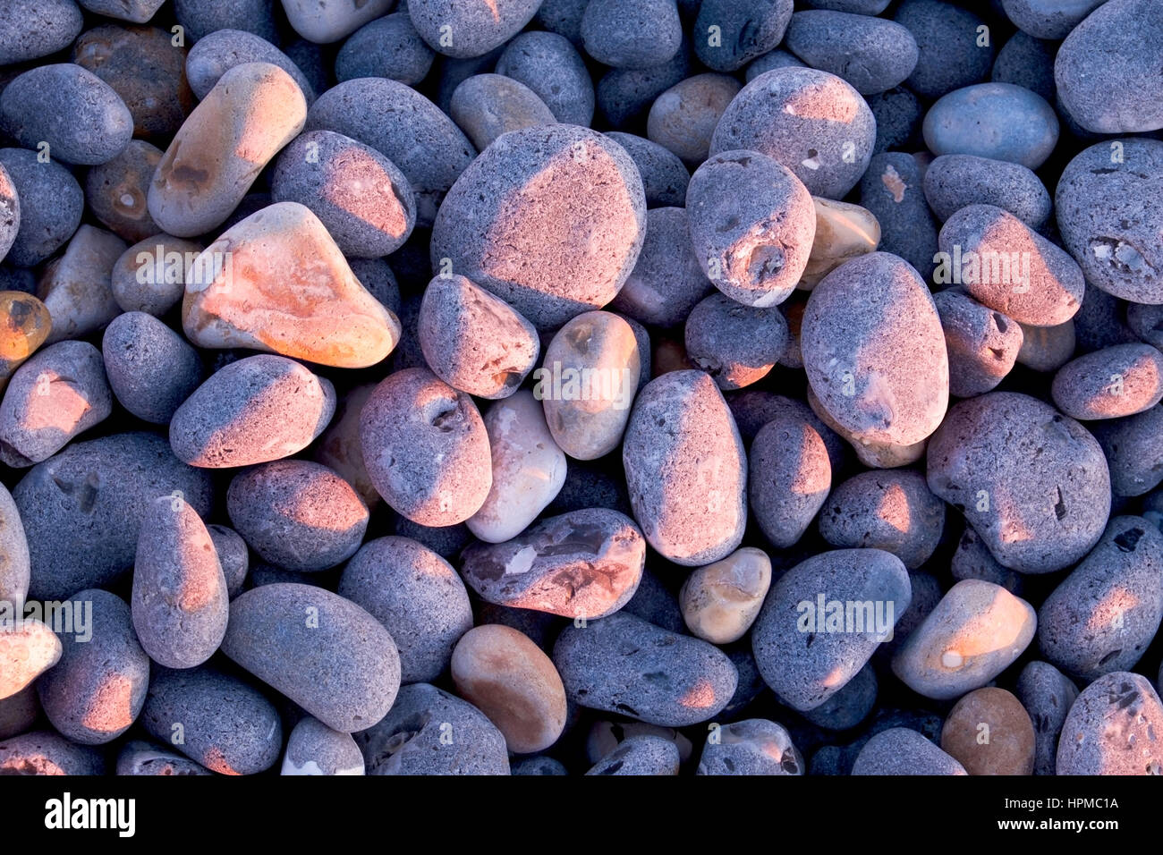 about 50 grey pebbles on beach at sunset, pink glow from the sunset on ...