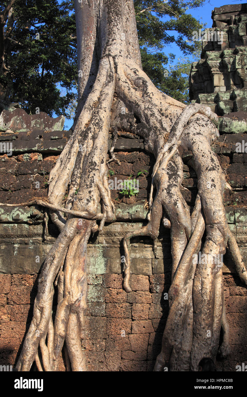 Over ruins hi-res stock photography and images - Alamy