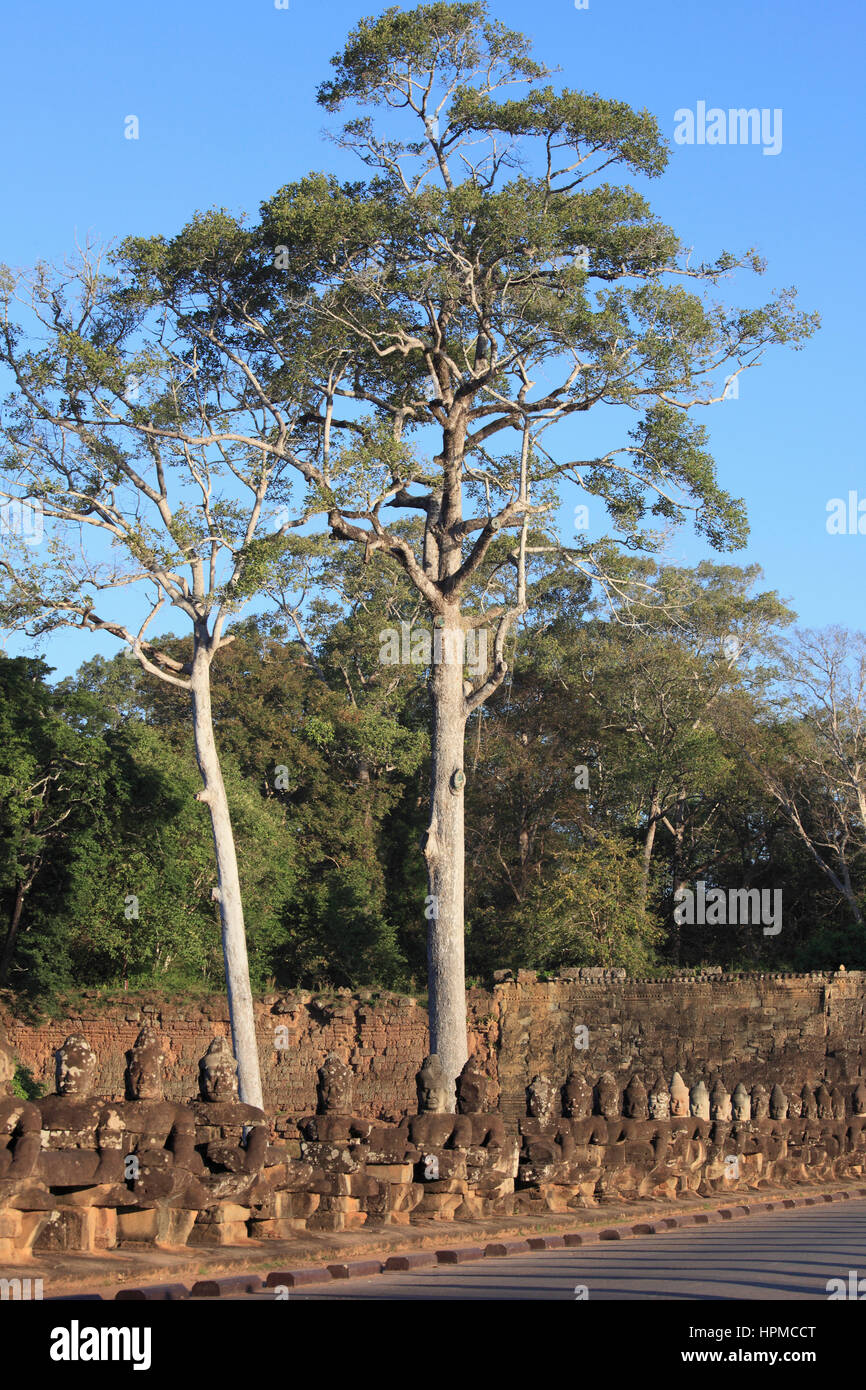 Cambodia, Angkor, Angkor Thom, South Gate, statues, trees Stock Photo ...