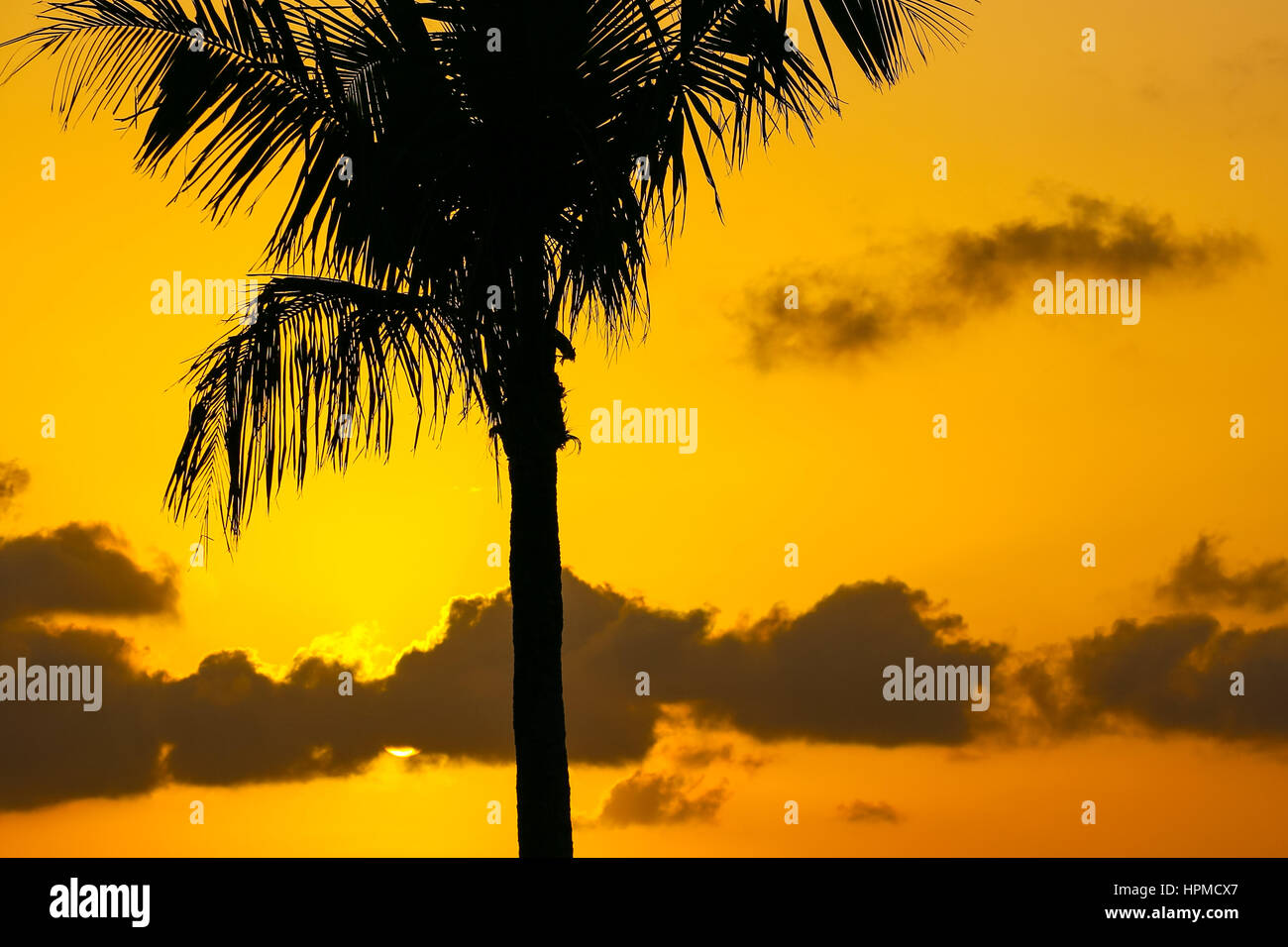 The tangerine sunset sky with some clouds above the Key West Bight ...