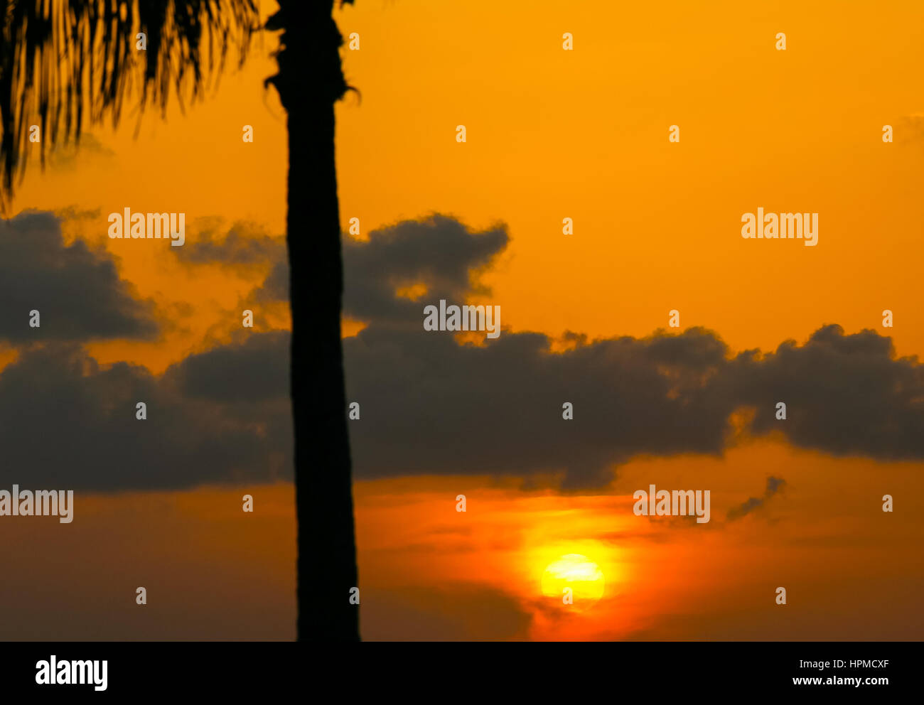 Sunset above the Key West Bight on a tangerine sky Stock Photo - Alamy