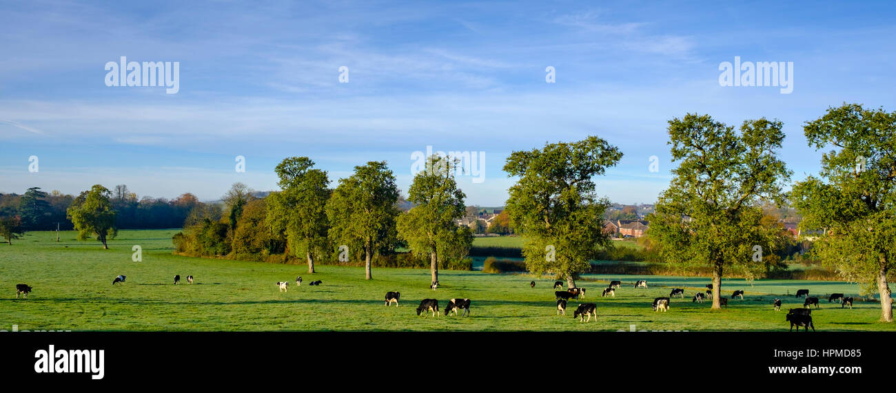 Life in rural england hi-res stock photography and images - Alamy