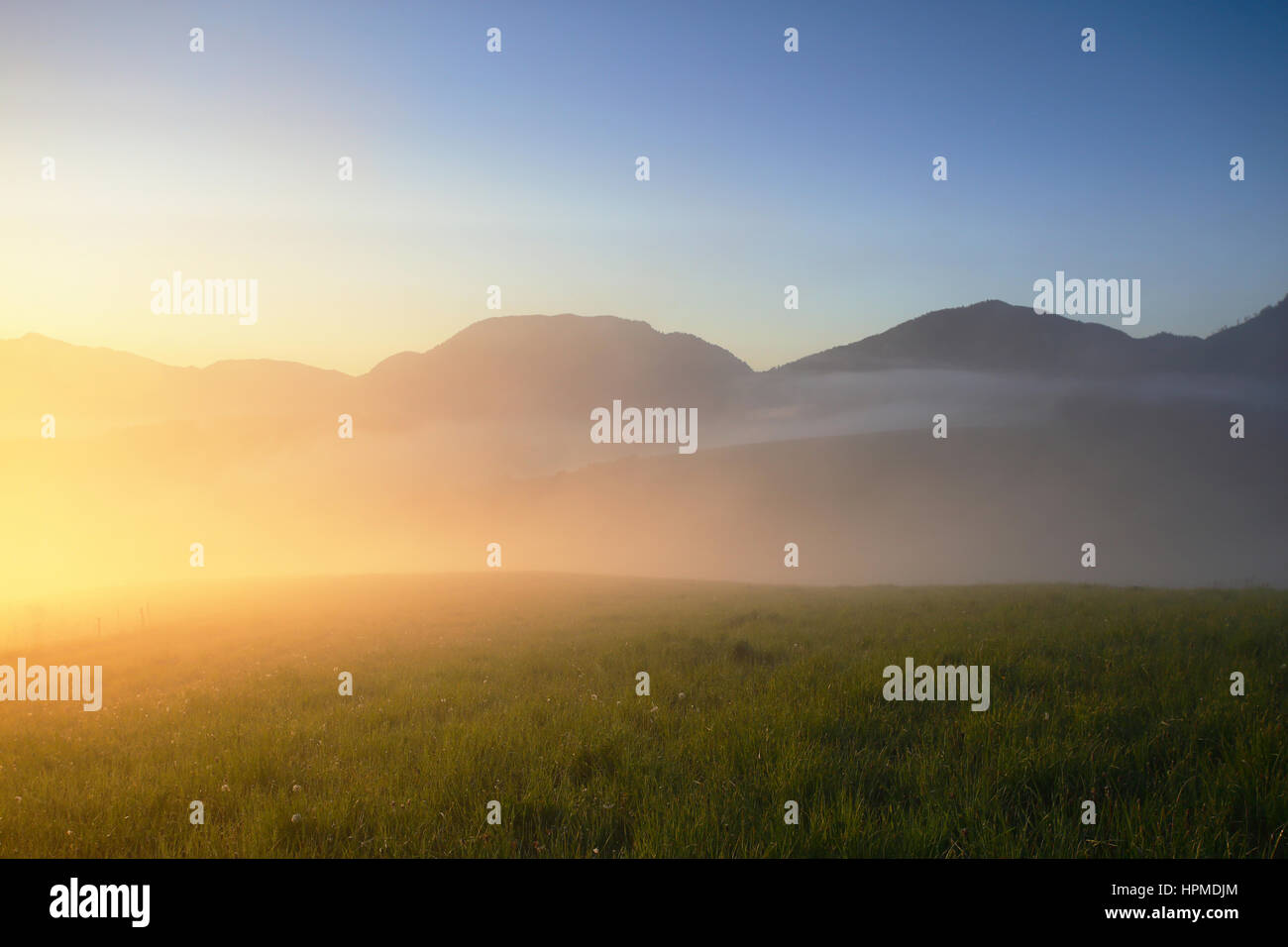 Beautiful misty meadow in hi-res stock photography and images - Alamy