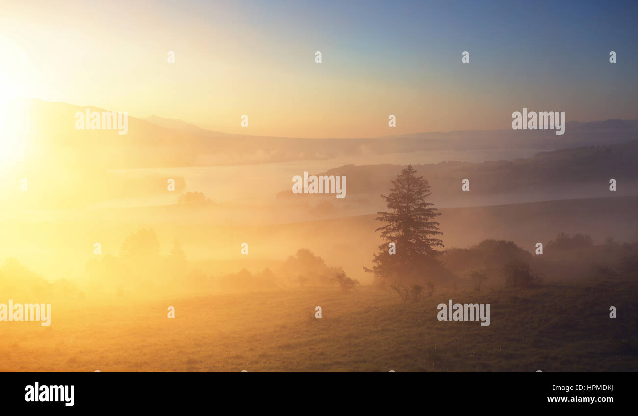 Sun shining through fog on mountain hills Stock Photo - Alamy