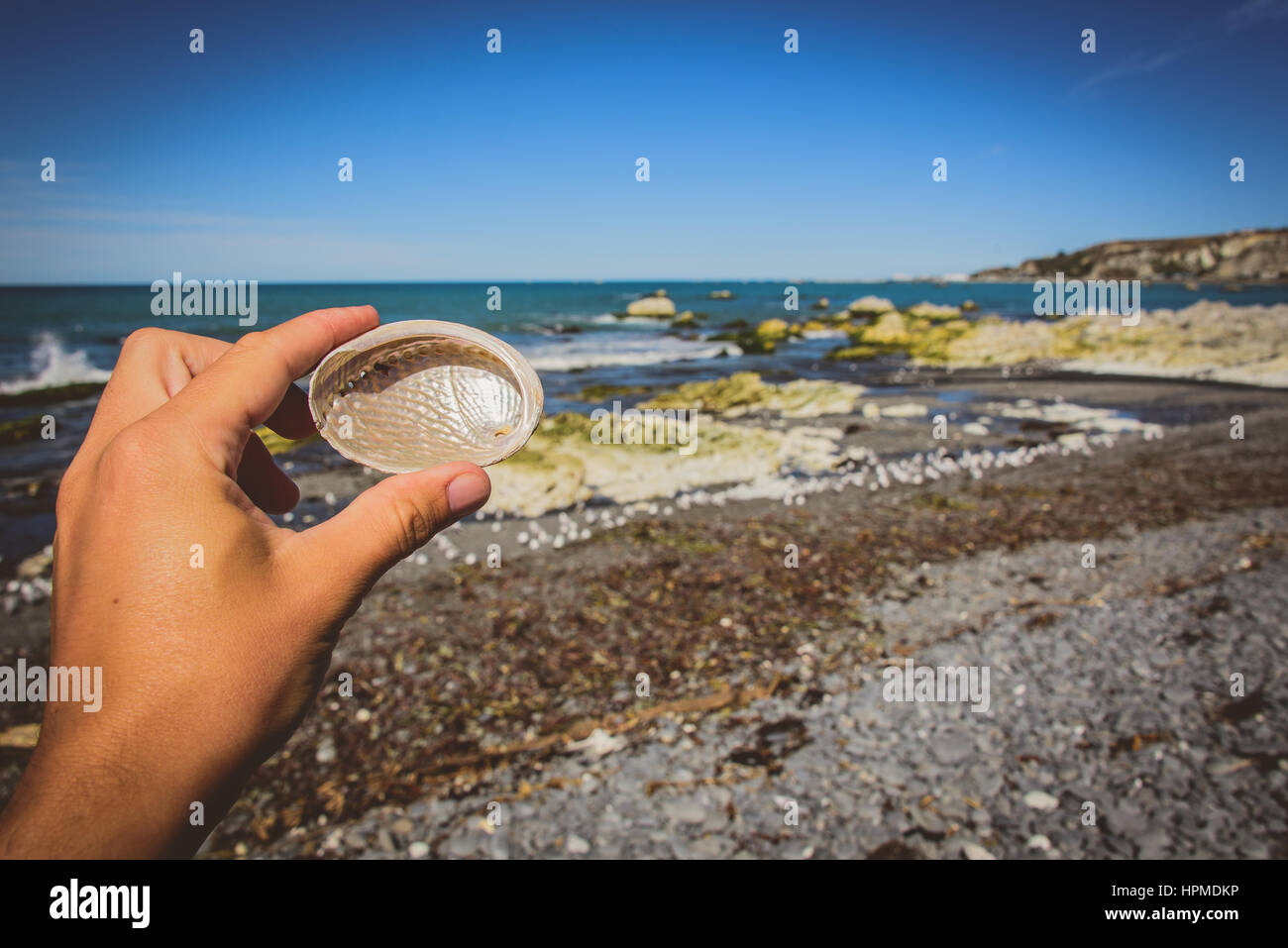 Hand holding shell on Kaikoura beach, New Zealand Stock Photo - Alamy