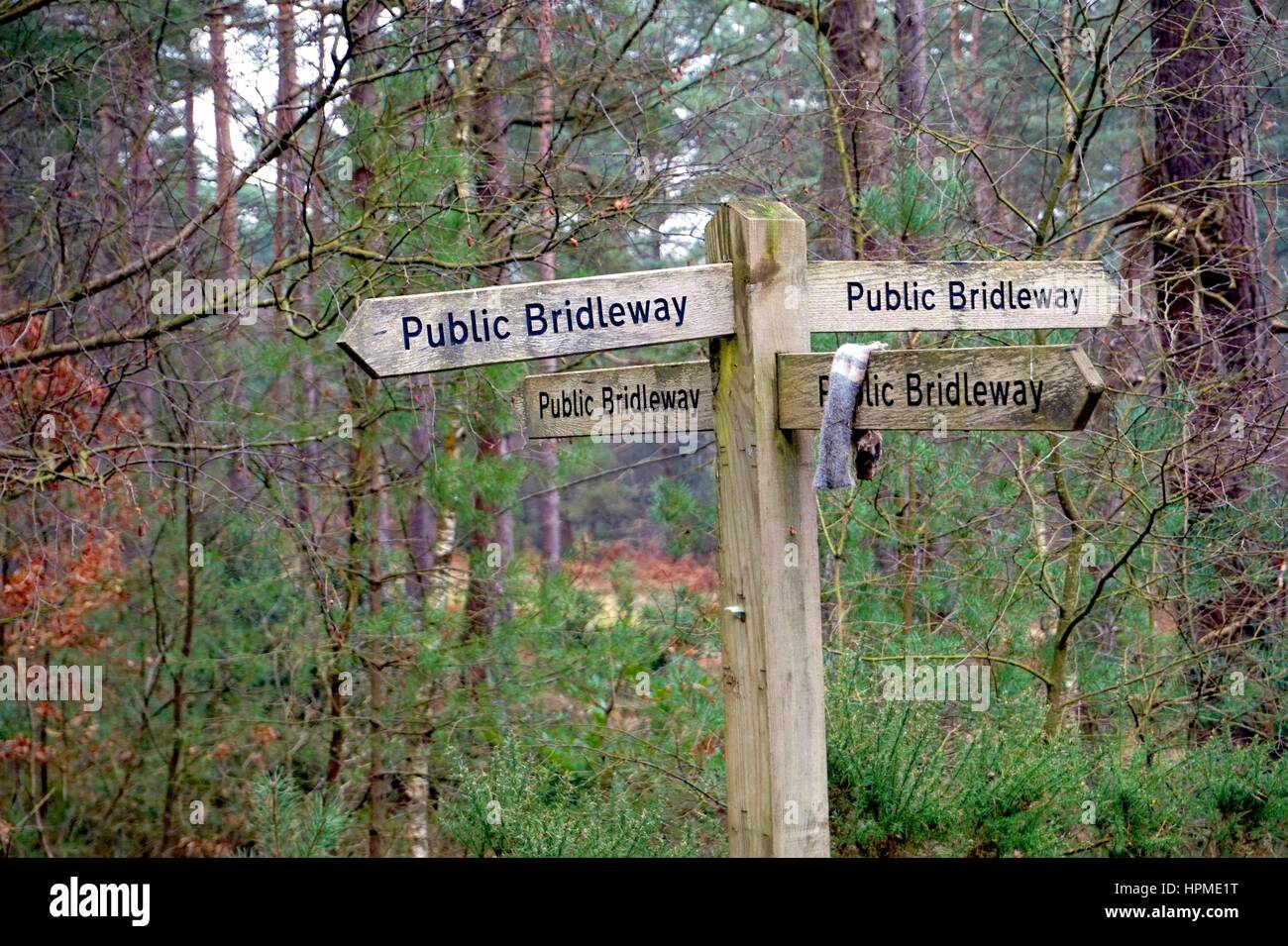 Four way public bridleway sign in a woodland Stock Photo - Alamy