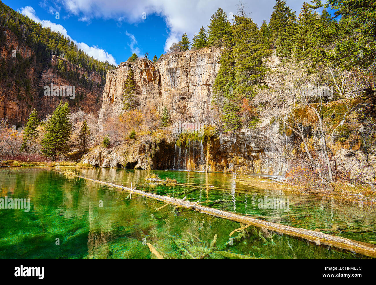 Fallen tree in Hanging Lake, wide angle picture, Glenwood Canyon ...