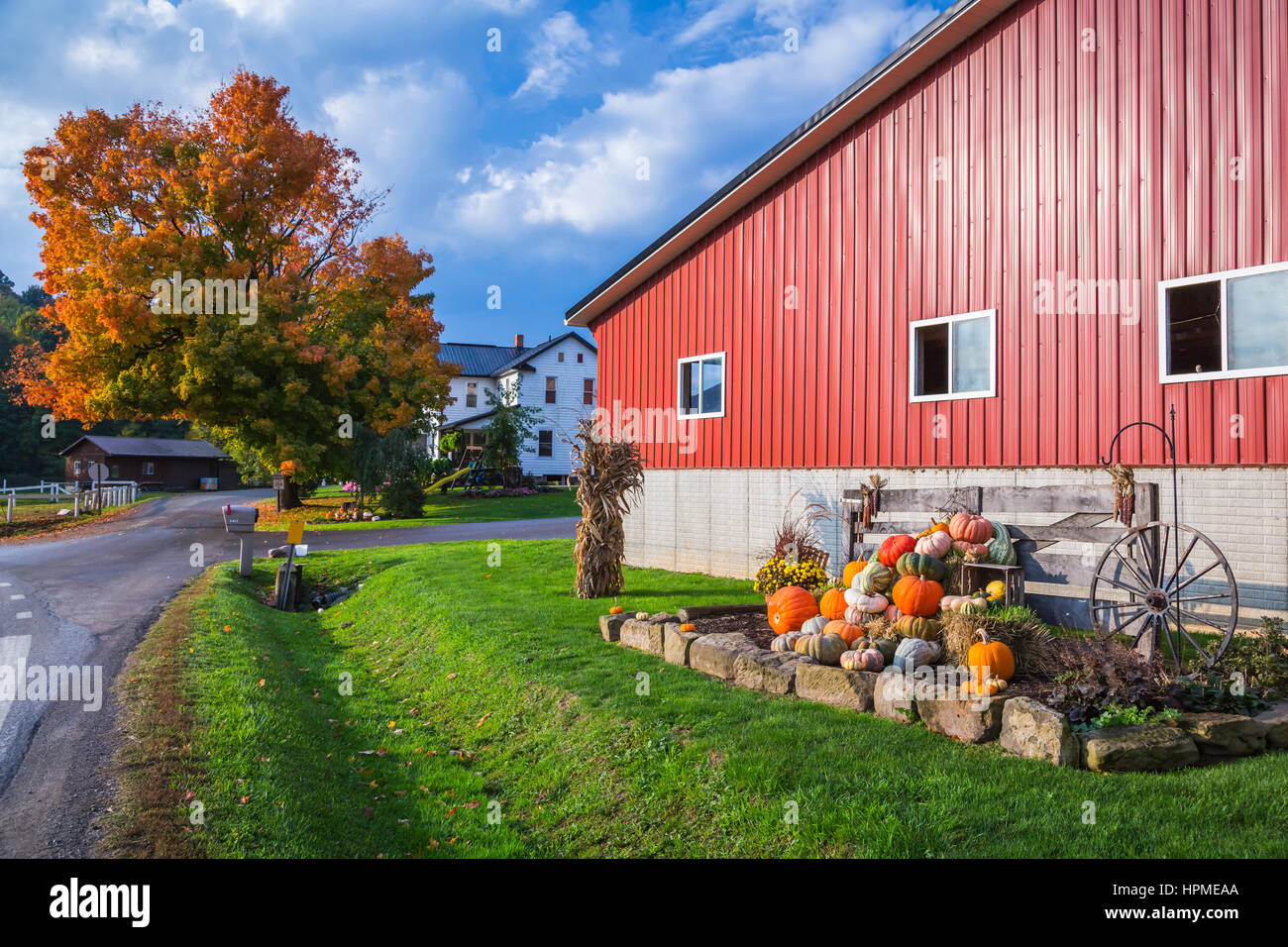 Ohio fall market display hi-res stock photography and images - Alamy