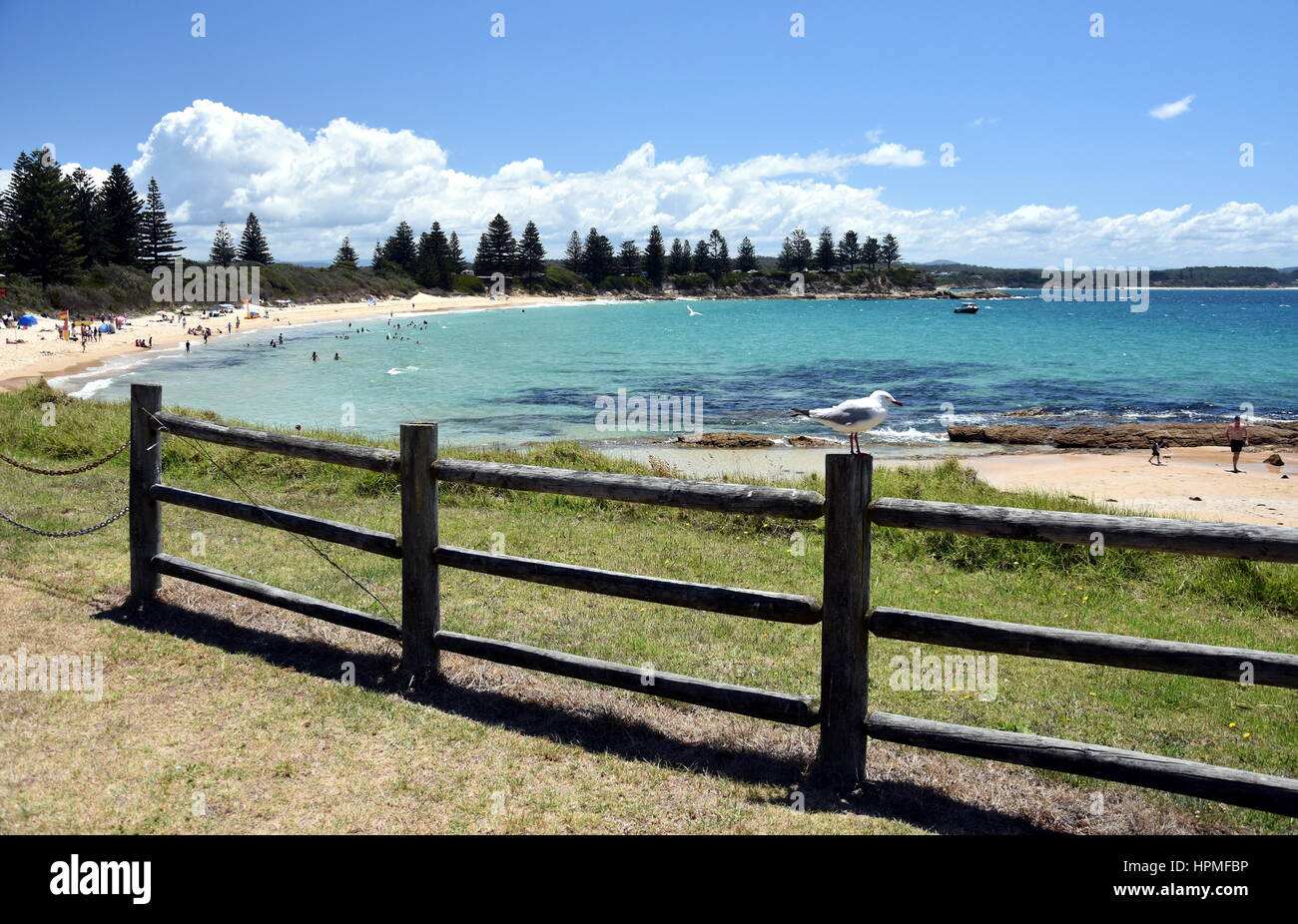 Bega nsw hi-res stock photography and images - Alamy