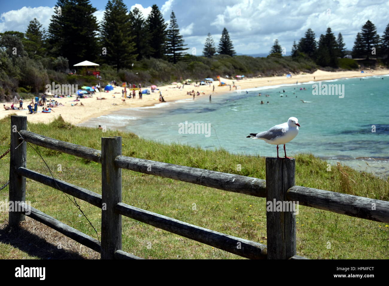 Beach at the Bermagui. Bermagui is a town on the south coast of NSW ...