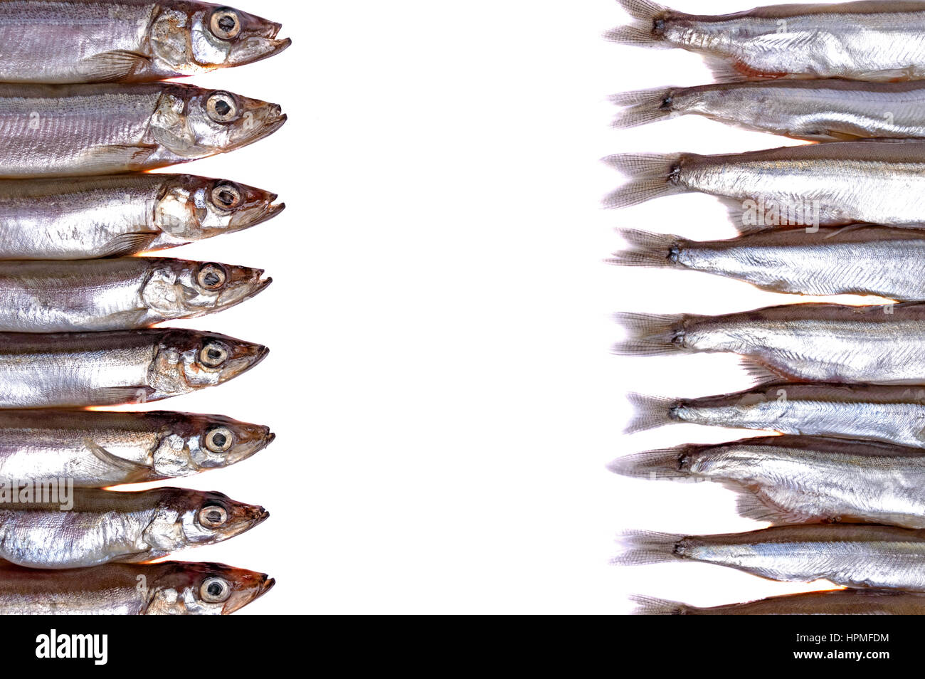 Raw fish capelin: left - head, right - tails. Isolated on white ...