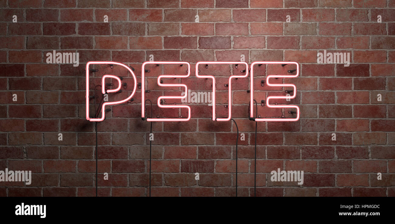 PETE - fluorescent Neon tube Sign on brickwork - Front view - 3D ...