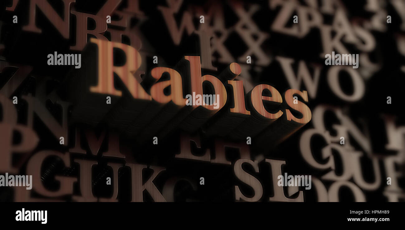 Rabies - Wooden 3D rendered letters/message. Can be used for an online ...